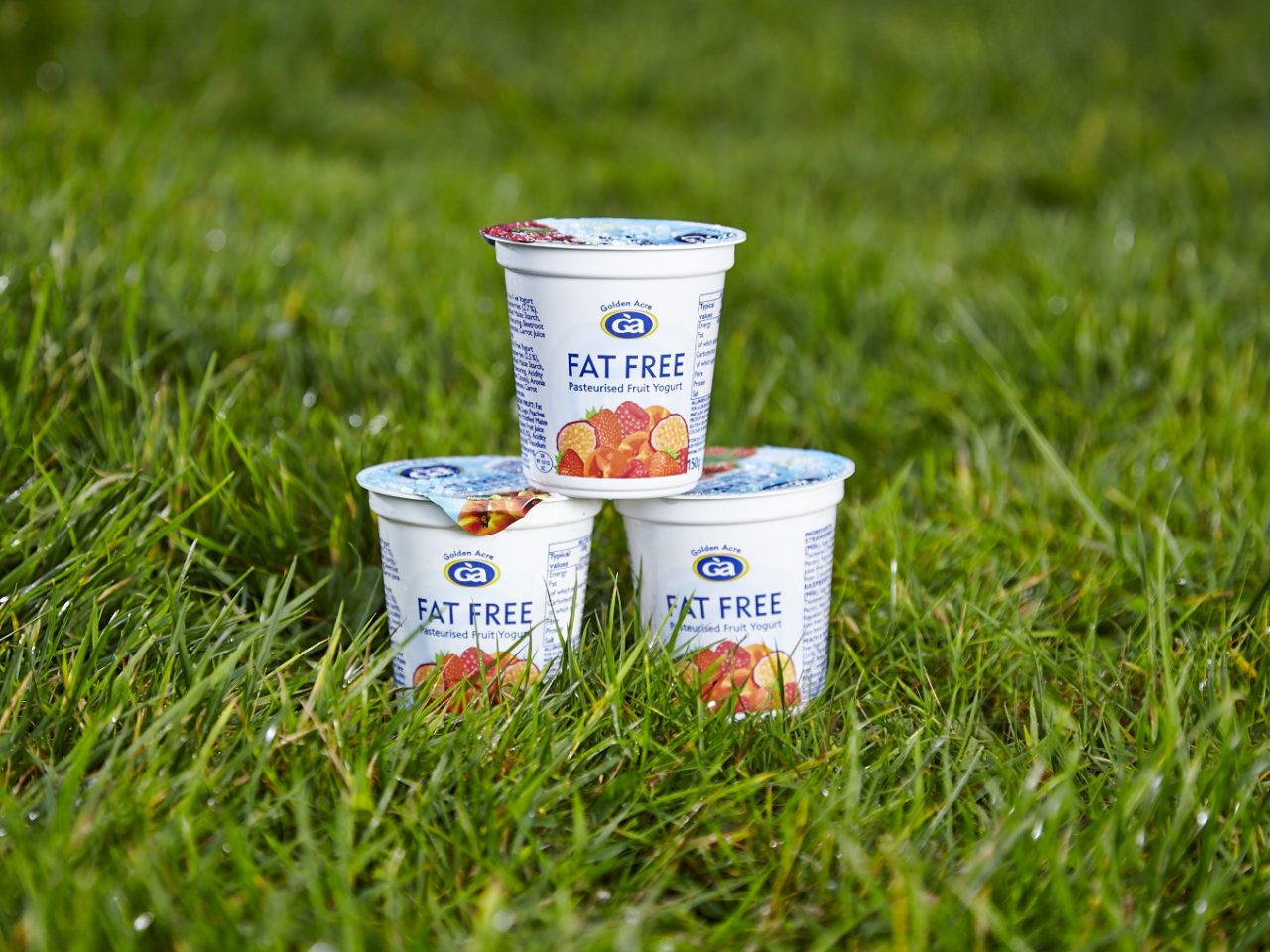 Products · Lanchester Dairies